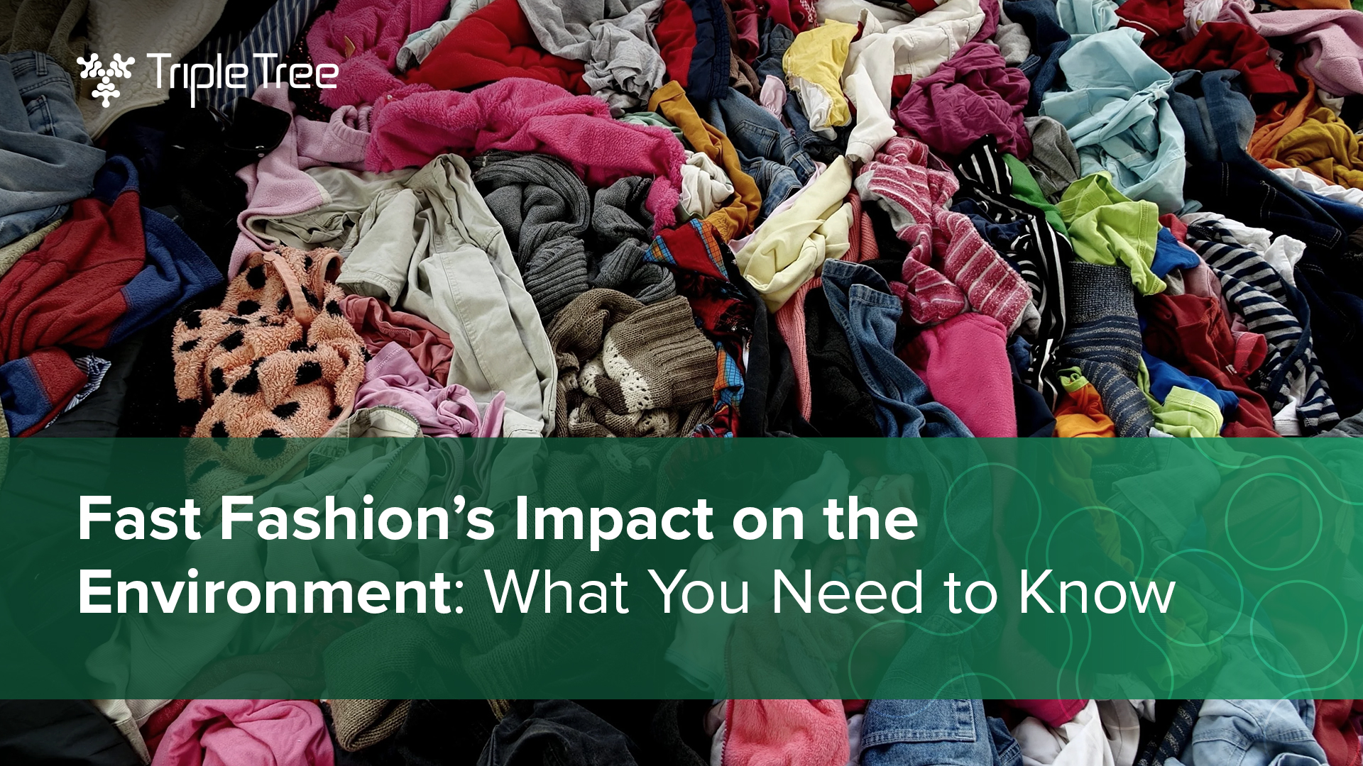 Fast Fashion’s Impact on the Environment: What You Need to Know
